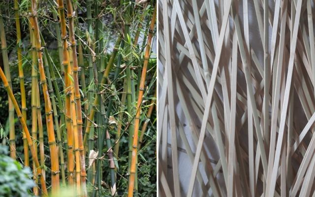 10 Best Bamboo Rattan Furniture Ideas for your Home