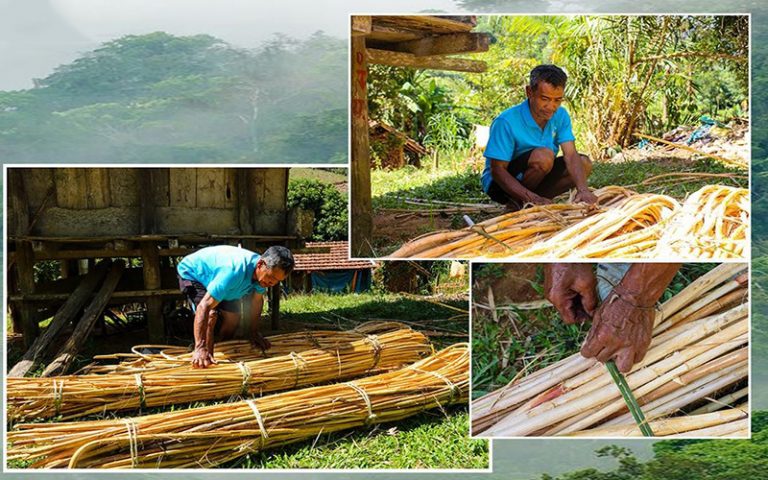 What Is Rattan? Definition, Uses & Benefits of This Natural Material