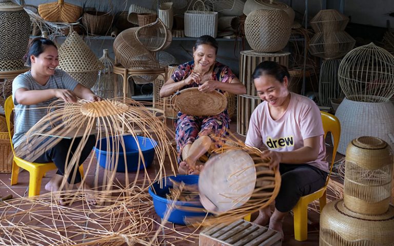 What Is Rattan? Definition, Uses & Benefits of This Natural Material