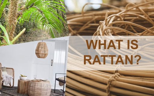 What Is Rattan? Definition, Uses & Benefits of This Natural Material